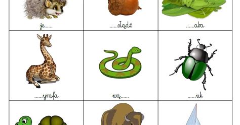 BLOG EDUKACYJNY DLA DZIECI WYRAZY Z Ż