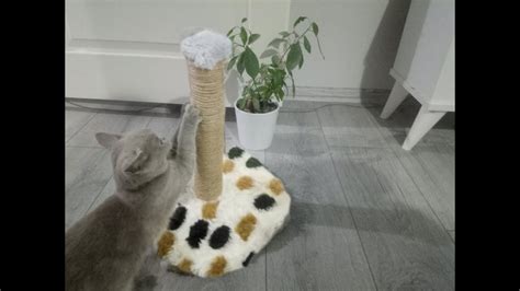 KEDİLER İÇİN TIRMALAMA TAHTASI NASIL YAPILIR I KEDİ TIRMALAMA TAHTASI