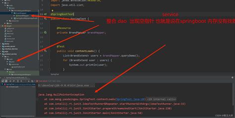 springboot 多模块整合 web 模块 调用 mapper 模块 空指针 spring boot 整活大师 华为云开发者空间