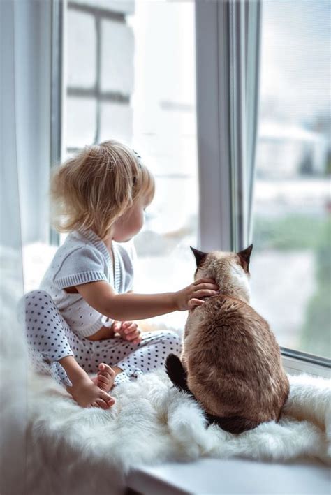 Photos Qui Prouvent Que Votre Enfant Doit Vivre Avec Un Chat Artofit