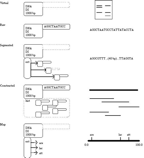 Ncbi C Toolkit Book