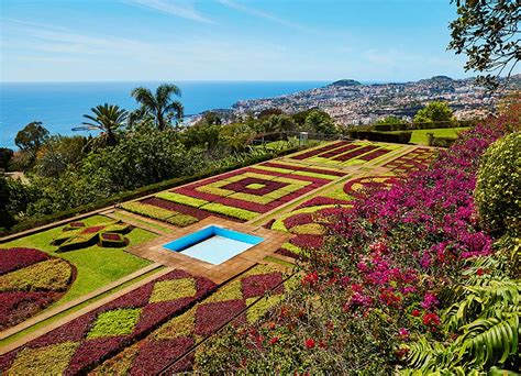 Discover Madeira The Garden Island Known For Its Healing Sands