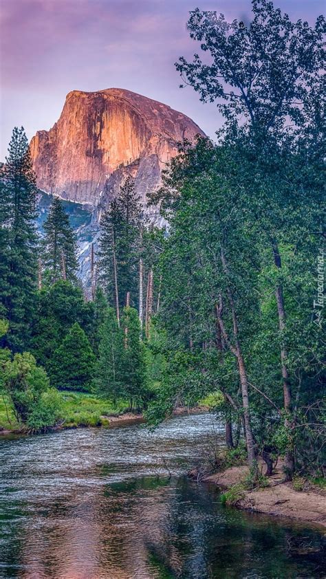 Rzeka Merced River I Szczyt Half Dome Tapeta Na Telefon