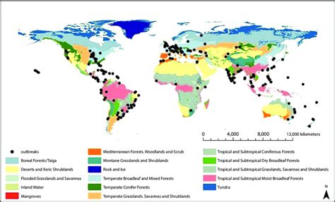 Global Distribution Of Human Leptospirosis Outbreaks Reported In The