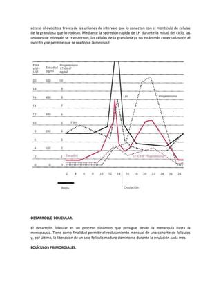 Ciclo Menstrual Normal PDF