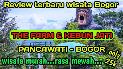 Update Terbaru Wisata Kebun Jati The Farm PANCAWATI BOGOR Ll Wisata
