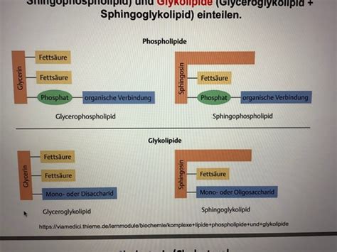 Zellbiologie 1 Woche Flashcards Quizlet