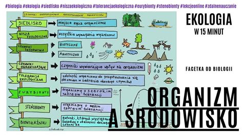Ekologia Organizm a środowisko Tolerancja ekologiczna Darmowe
