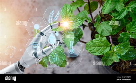 The Concept Of New Farming Or Smart Farming Agricultural Technology