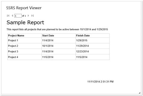 SSRS Report Viewer FluentPro
