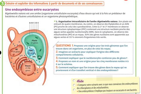 Cours Enseignement spécialité Terminale SVT HTM