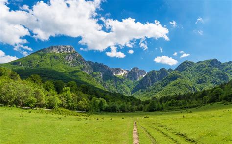 Parco Nazionale DAbruzzo Cosa Fare Cosa Vedere E Dove Dormire