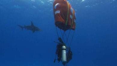 Avelo R Invente La Bouteille De Plong E Sous Marine Et A Va Tout