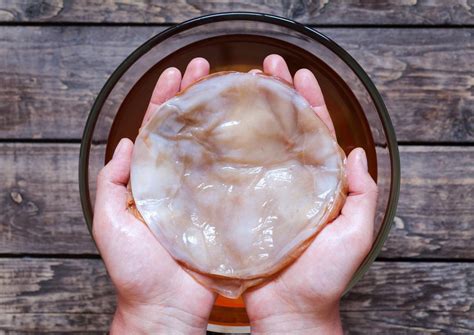 Kombucha Y Sus Beneficios Probi Ticos Carla Zaplana