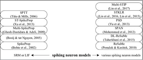 a taxonomy for supervised learning algorithms from the spiking neuron download scientific