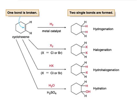 Organic Chemistry Reactions Flashcards Quizlet