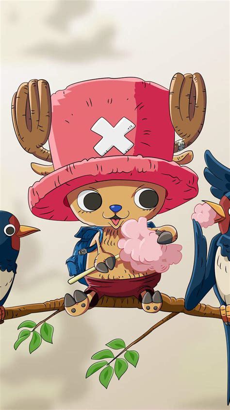 Toni Toni Chopper Wiki One Piece Amino