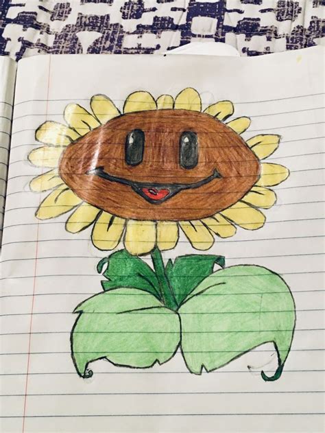 Sunflower Drawing Sunflower Drawing Drawings Sunflower