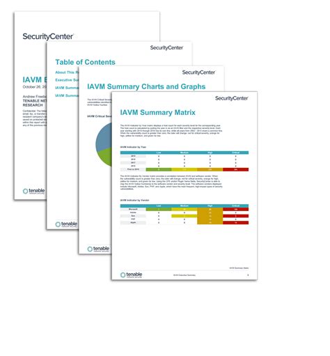 Iavm Executive Summary Report Sc Report Template Tenable