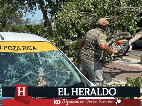 Viento derriba árbol que cae sobre taxi estacionado