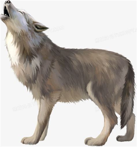 Png Png