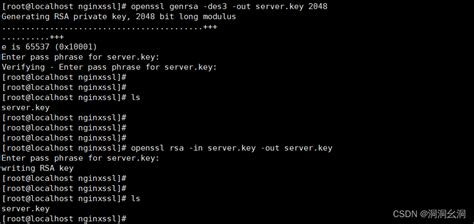 nginx离线安装与ssl配置 nginx安装openssl csdn博客