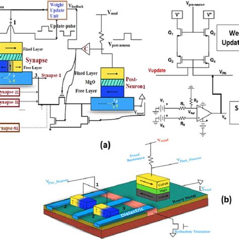 a complete schematic of the neuromorphic system showing the download scientific diagram