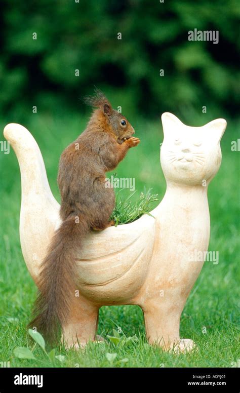 Synamthroper organismus Fotos und Bildmaterial in hoher Auflösung Alamy