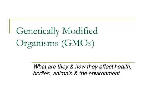 PPT Genetically Modified Organisms GMOs PowerPoint Presentation