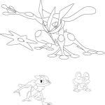 11 Extraordinaire Coloriage Pokemon Amphinobi Pictures Idee De Coloriage
