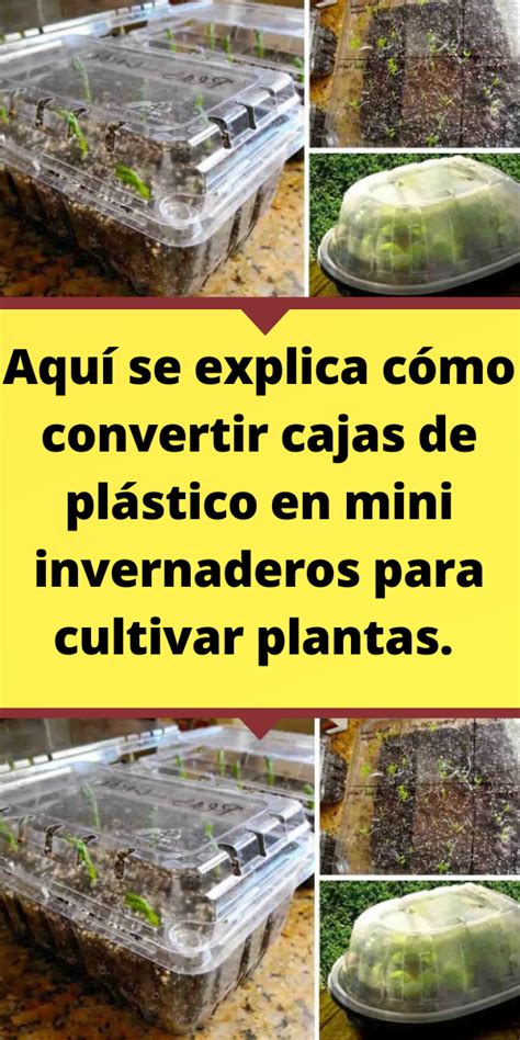 Invernaderos Artofit