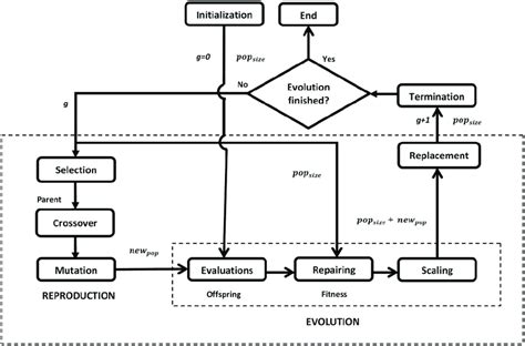 the scheme of steady state genetic algorithm download scientific diagram