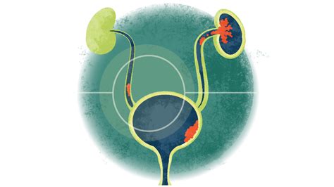 Medical Journeys MedPage Today