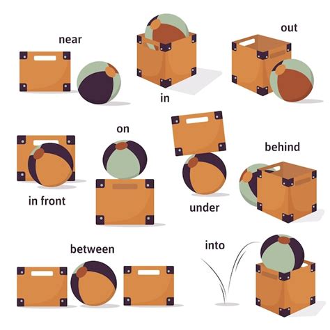 Premium Vector English Prepositions Set With Ball