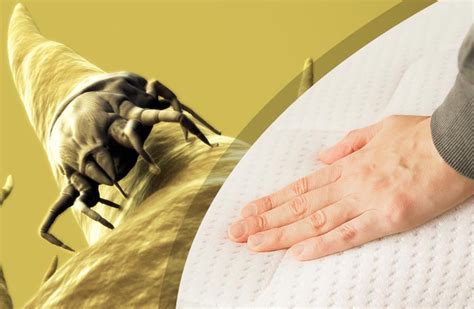 Comment détecter la présence d acariens dans son lit