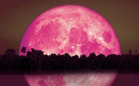 La Fresa Engorda De Noche Mito O Realidad Todo Engorda