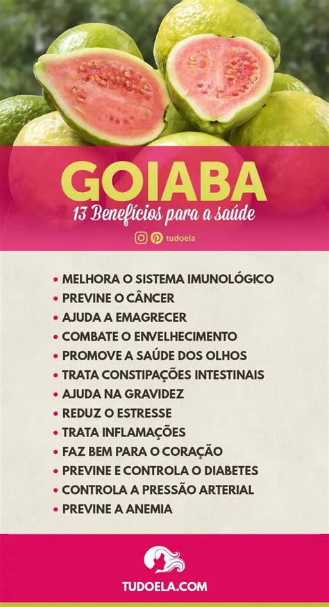 Goiabeira Caracter Sticas Nome Cient Fico E Fotos Mundo Ecologia