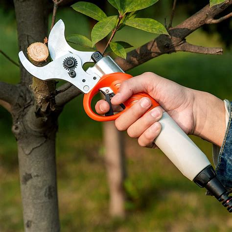 Herramientas manuales y eléctricas Profesionales Tijeras de Podar