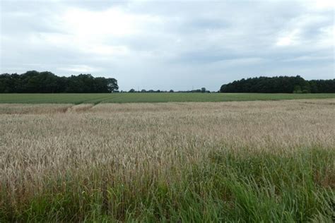 Fields Beside The A Ds Pugh Geograph Britain And Ireland