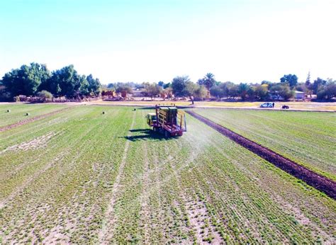 Sembradas 109 376 hectáreas de la Cédula de Cultivos del año agrícola