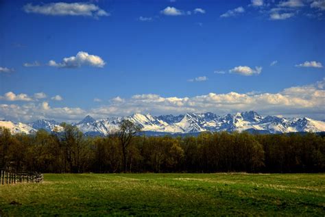 Fotos gratis paisaje árbol naturaleza bosque césped horizonte