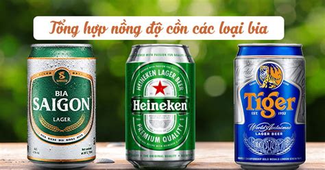 Tổng hợp nồng độ cồn các loại bia năm 2024 HoaTieu vn