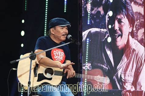 Lá diêu bông là gì Tìm hiểu nguồn gốc và ý nghĩa của lá diêu bông