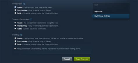 Cómo Hacer Que Su Perfil De Steam Sea Privado Experto Geek Tu Guía