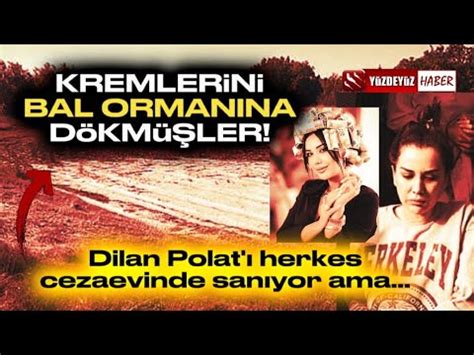 D Lan Polat In Kremler N Bal Ormanina D Kt Ler Youtube