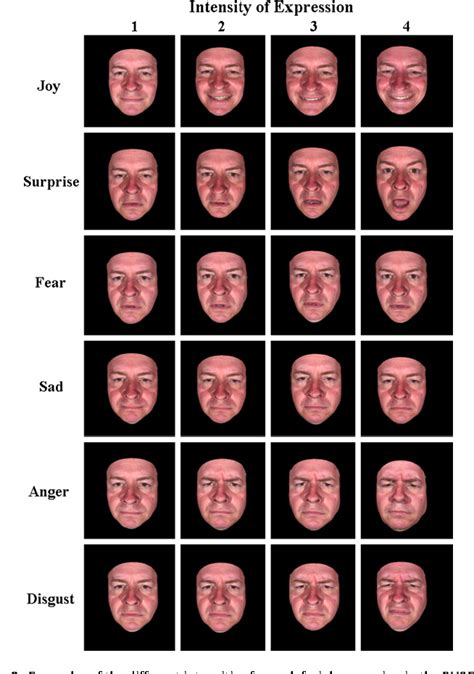figure 1 from local binary patterns for multi view facial expression recognition semantic scholar