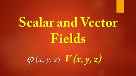 scalar and vector fields youtube