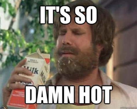 42 Hot Weather Memes That Ll Help You Cool Down SayingImages