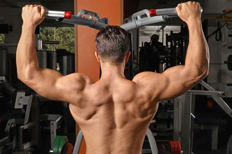 Treino De Costas Melhores Exerc Cios E Como Fazer Tua Sa De
