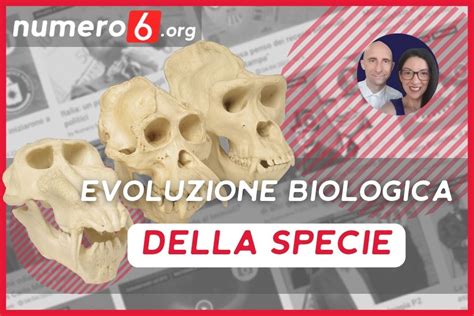 Evoluzione Biologica Delle Specie Numero6 Org